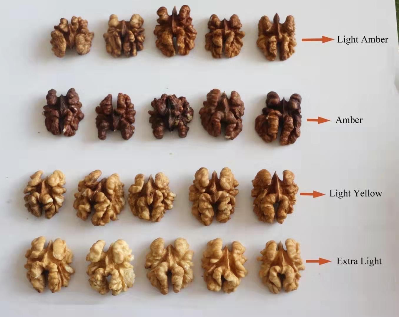 185 Extra Light Halves 80%-98% – MingDa walnuts-Let you taste the ...